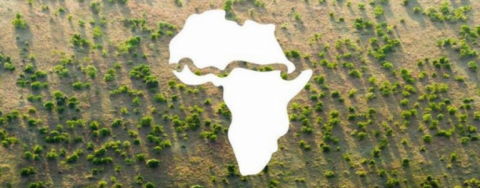 Home [www.fuaz.edu.ng]